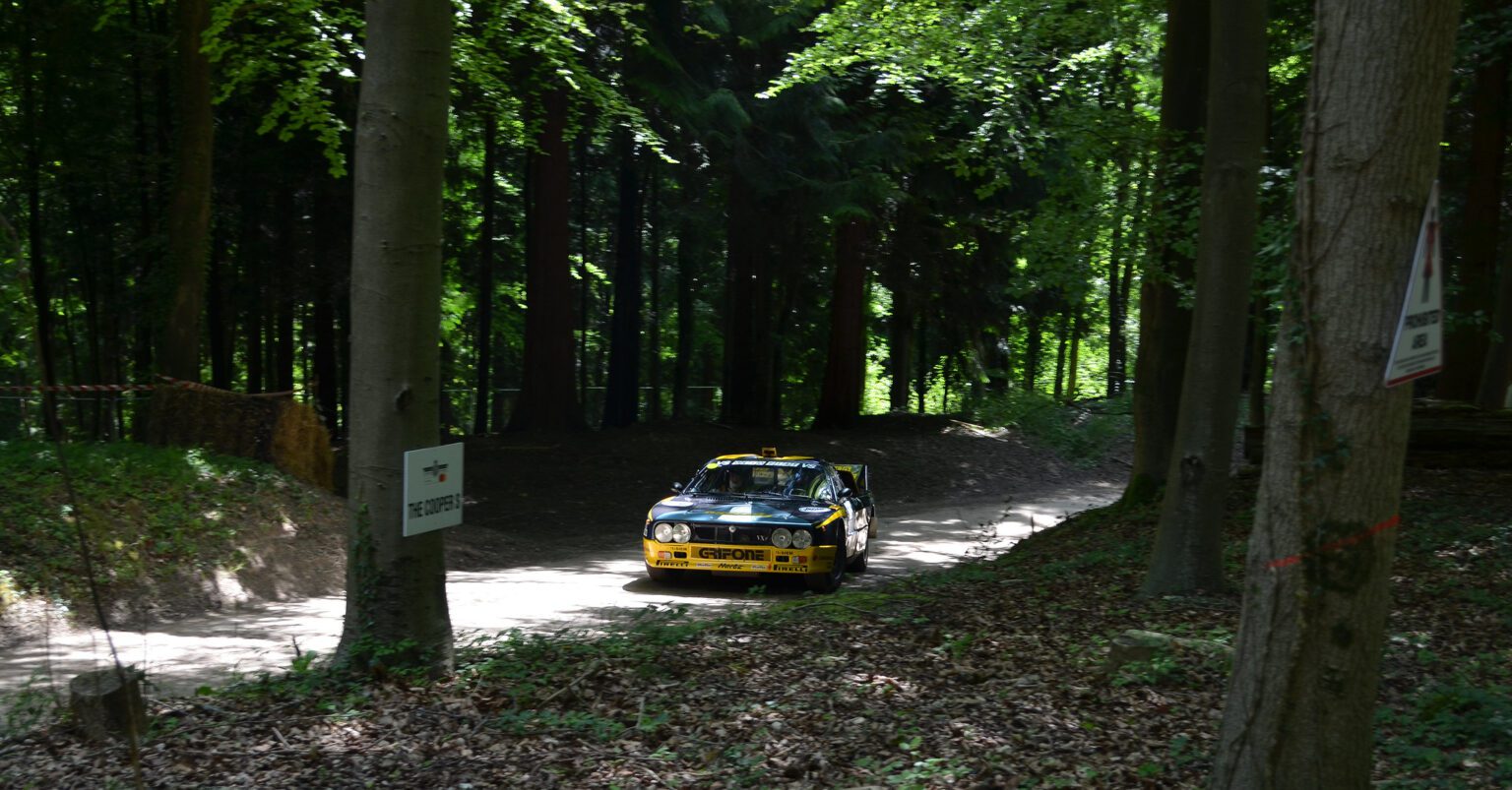 The Evolution and Endurance of Rallying: A Comprehensive Historical ...